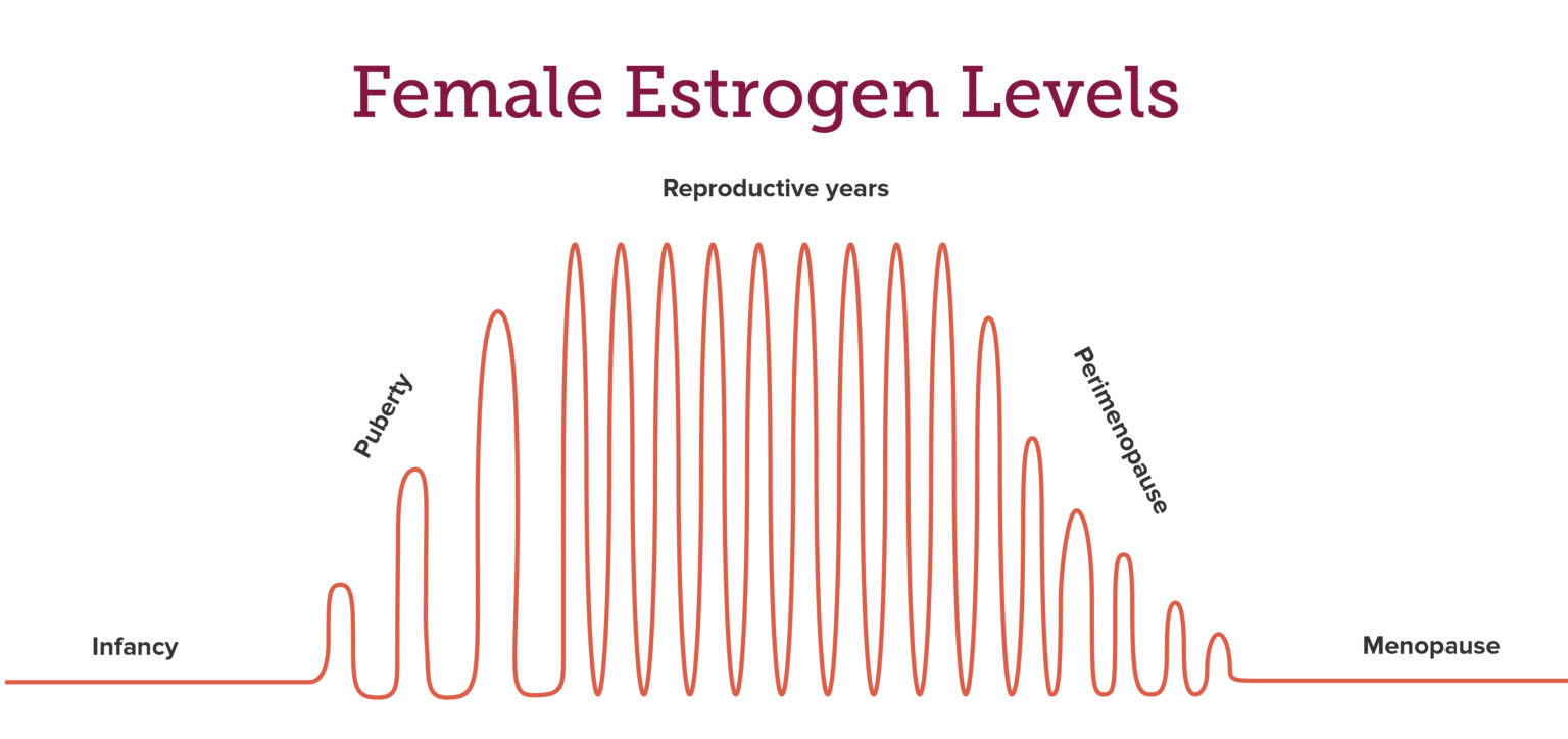 What are “Normal” Healthy Estrogen Levels in Women?