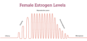 What are “Normal” Healthy Estrogen Levels in Women?