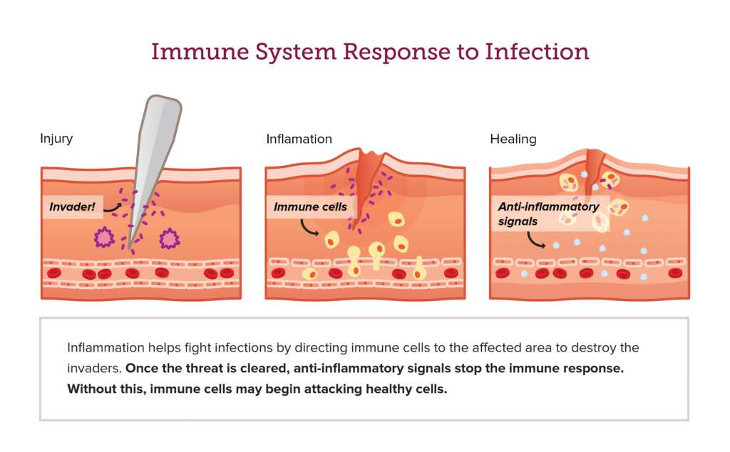 Why Are Autoimmune Diseases More Common in Women? The Estrogen ...